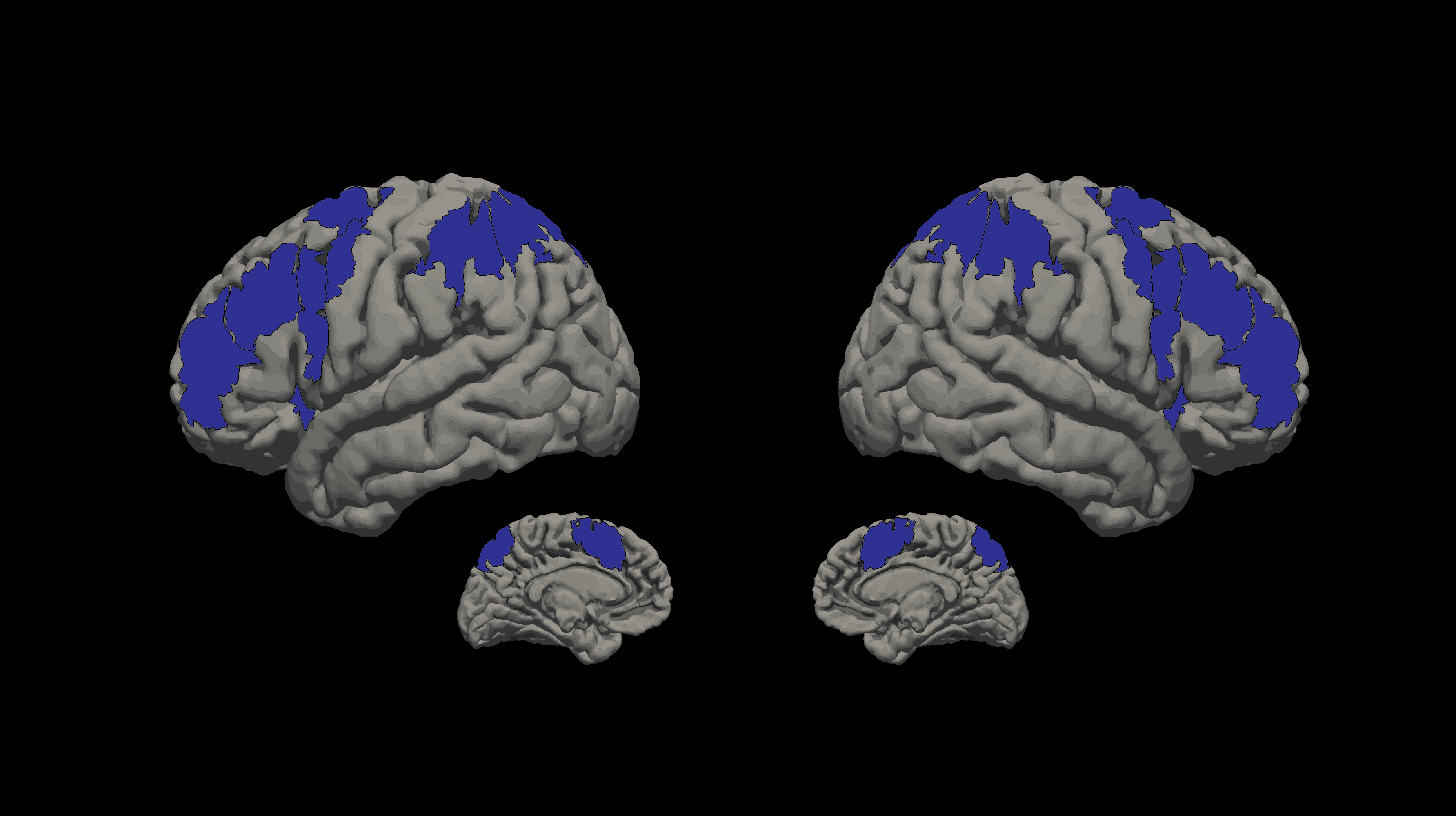 Comprehension of computer code relies primarily on domain-general ...